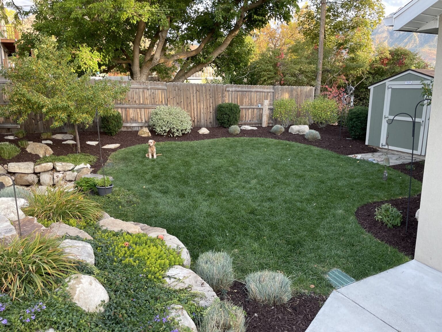 Utah's Best Landscapers in Salt Lake City - AJA Landscaping Services